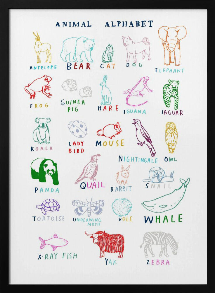 Animal Alphabet by &n - Stretched Canvas or Fine Art Print – I Heart ...