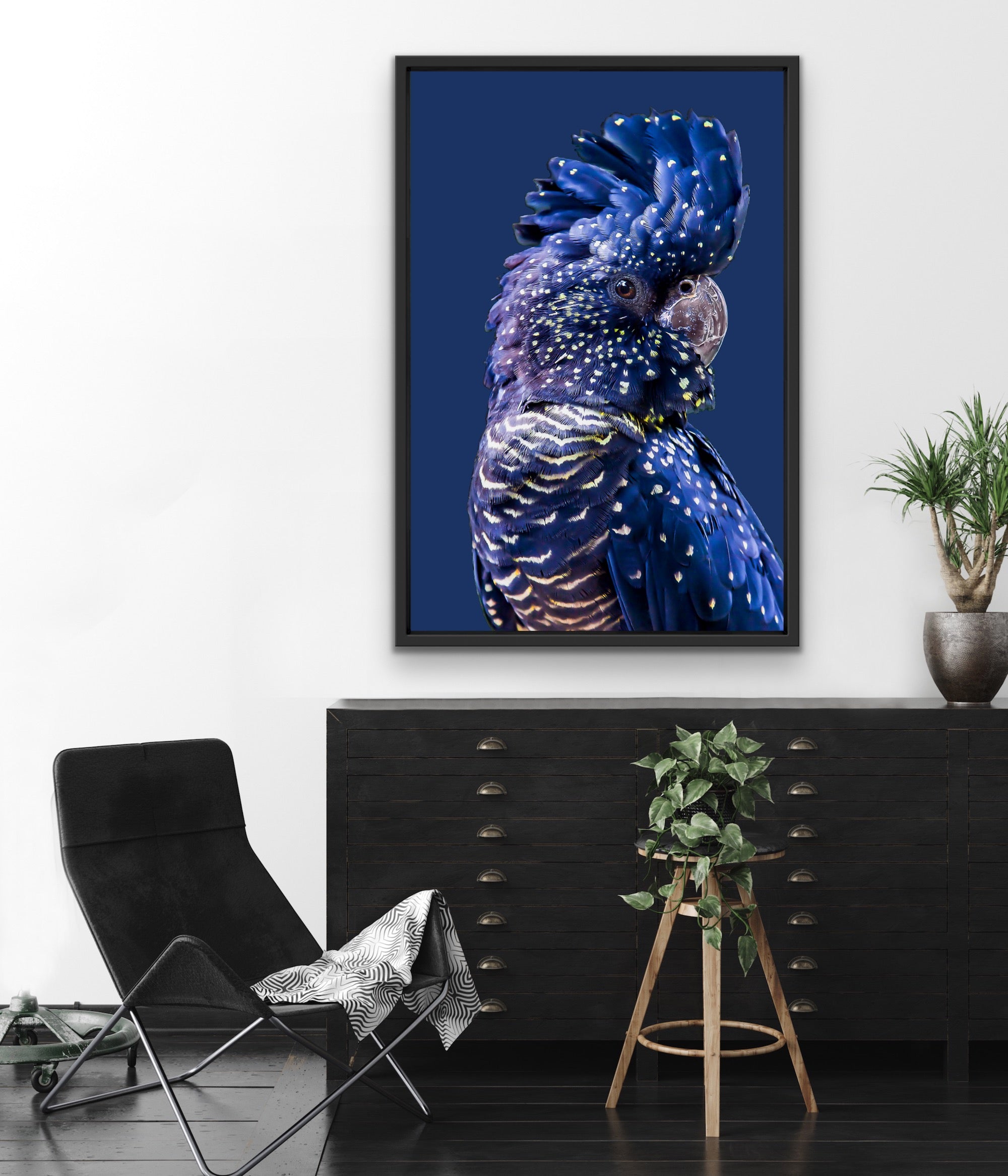 Cockatoo Wall Art - I Heart Wall Art Australia - Canvas Art Prints