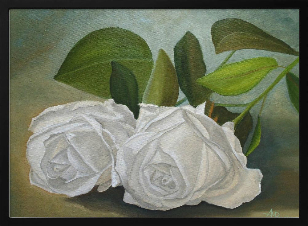 White Roses by &n - Stretched Canvas or Fine Art Print – I Heart Wall Art