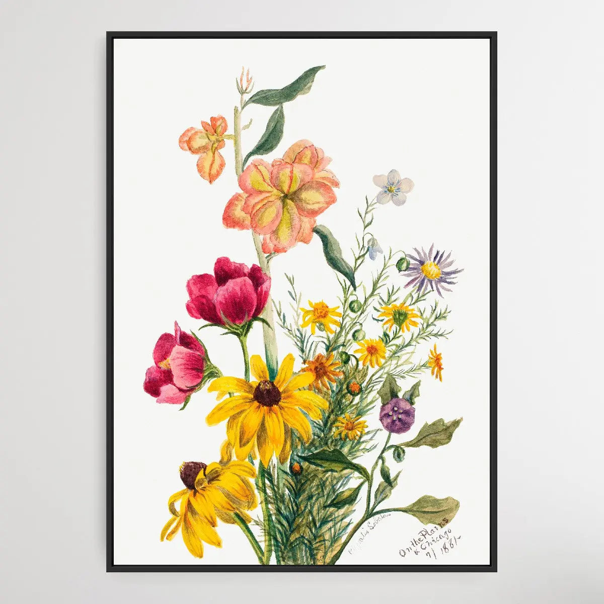 Group of Flowers (1881) by Mary Vaux Walcott - I Heart Wall Art – I ...