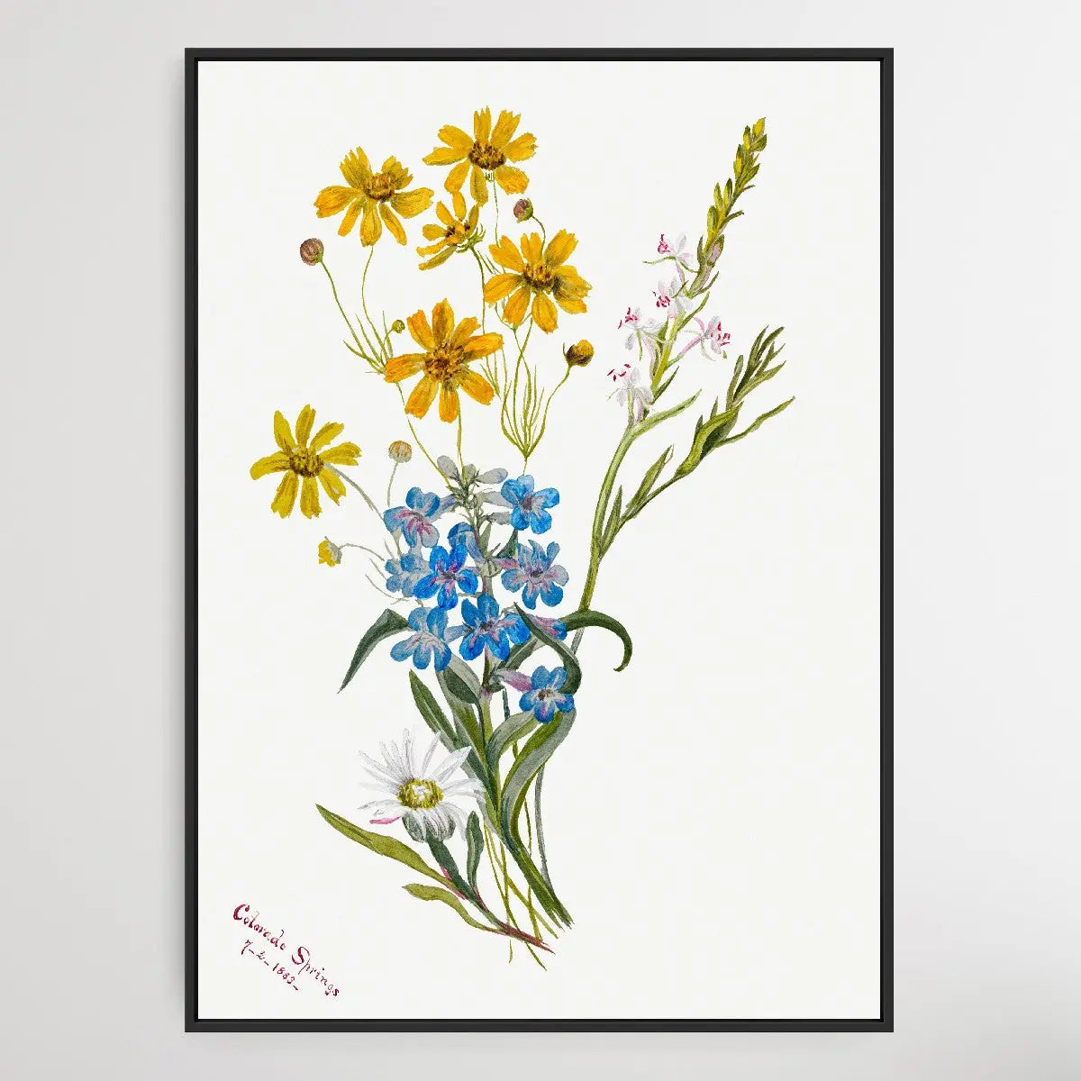 Group of Flowers (1883) by Mary Vaux Walcott - I Heart Wall Art – I ...